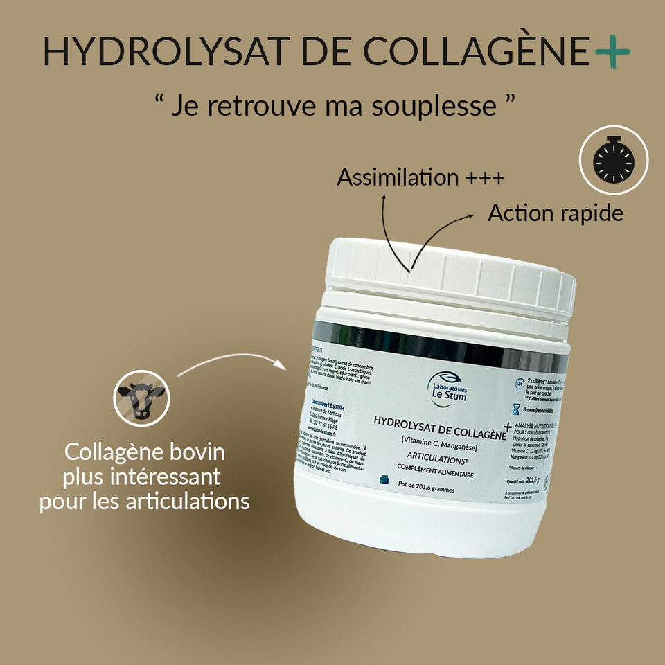 HYDROLYSAT DE COLLAGÈNE+ – Laboratoires Le Stum